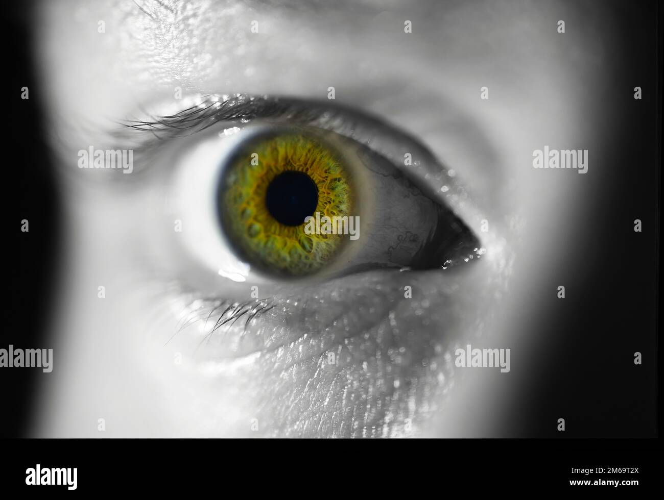 Detail of a surprised human eye, visible iris, men, colours, flash ...