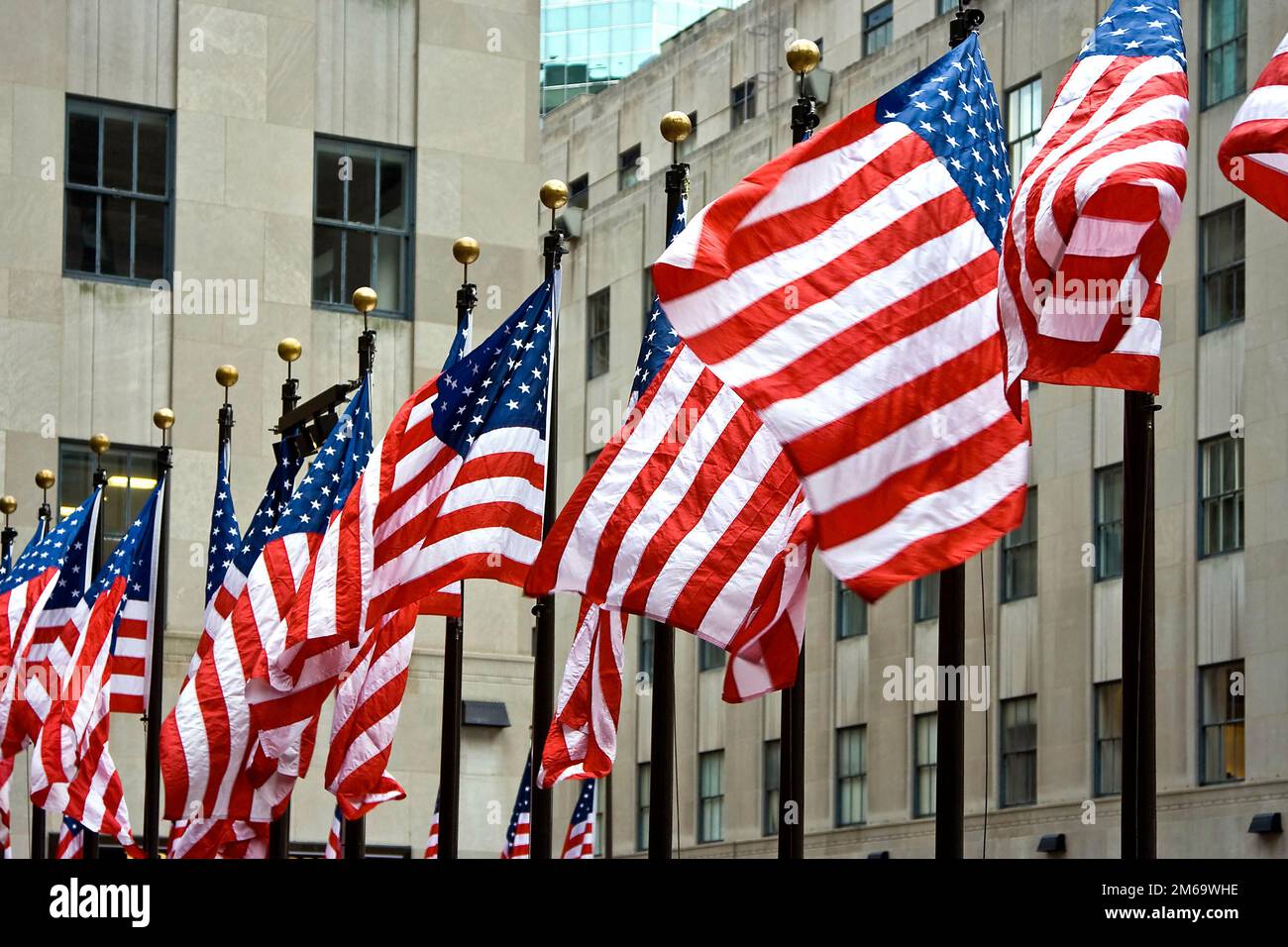 A row of American flags Stock Photo - Alamy