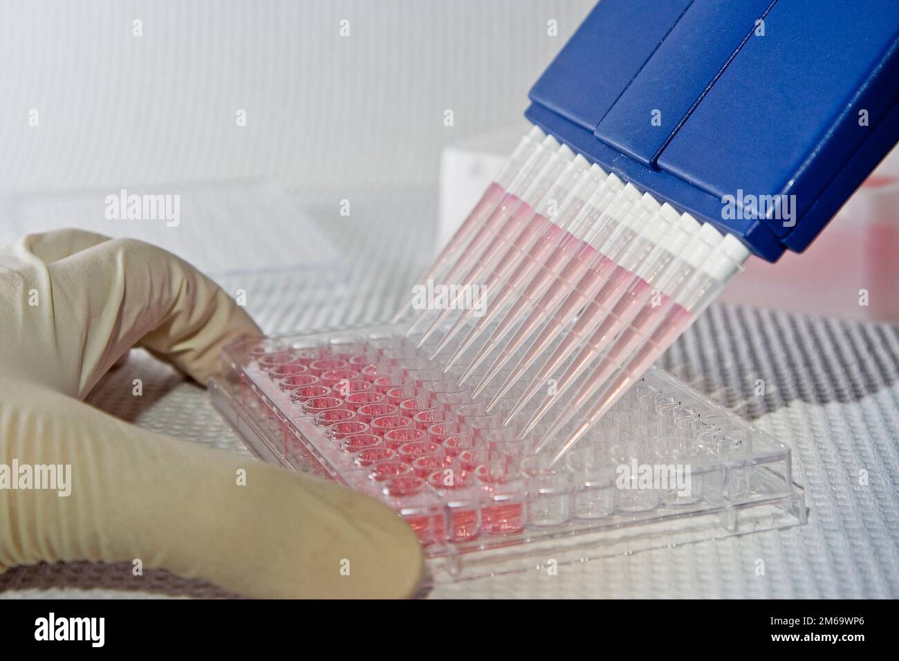 Pipetting solution hi-res stock photography and images - Alamy