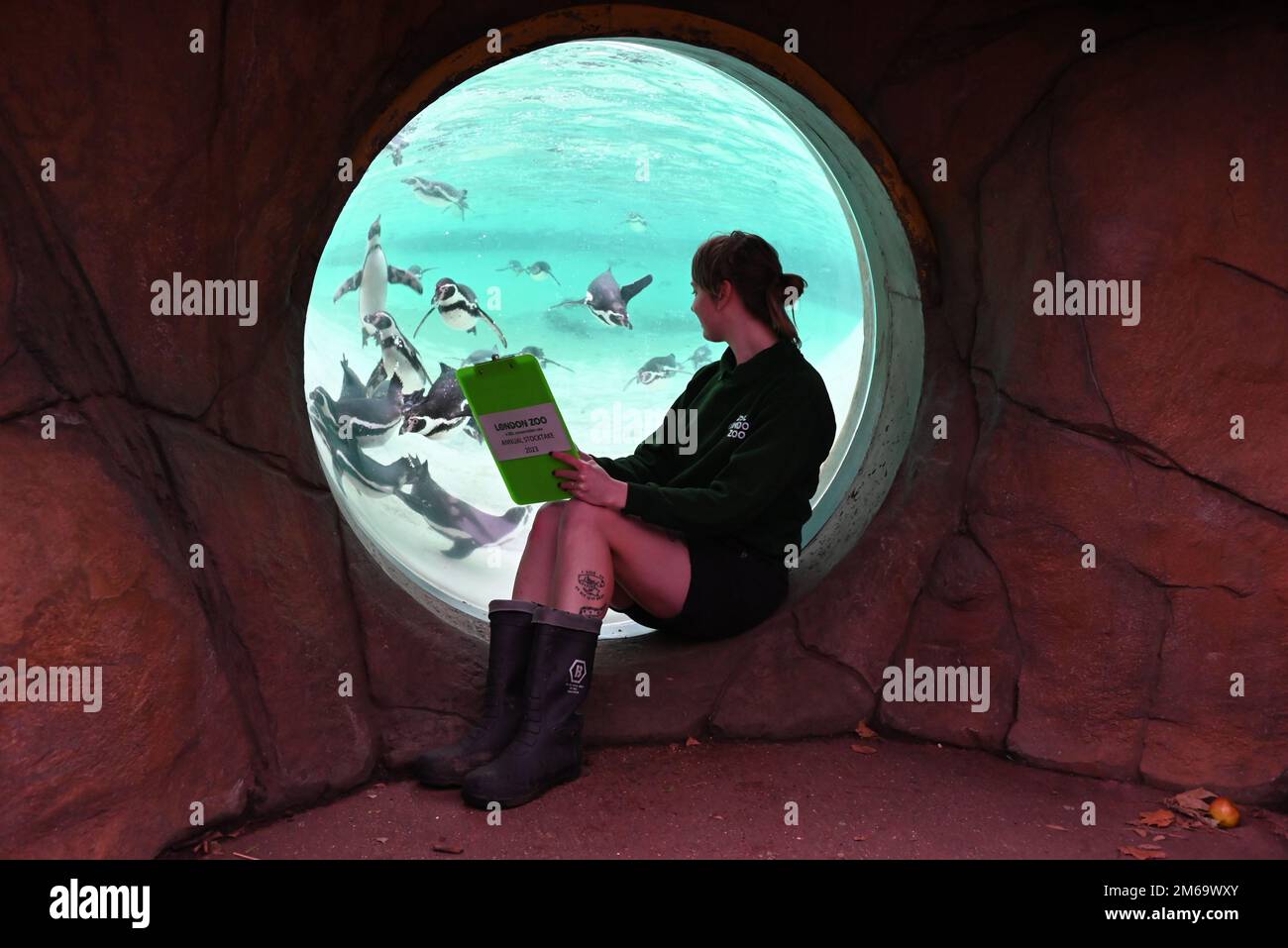 London Zookeepers got our their clipboards again for the New Year count ...