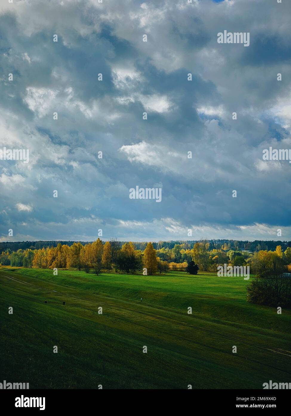 An aerial view of greenery field with dense trees Stock Photo - Alamy