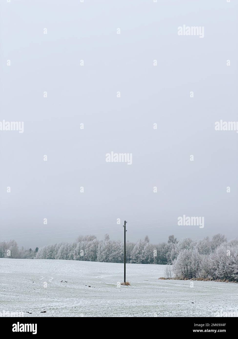 An aerial view of snow covered field surrounded by dense trees Stock ...