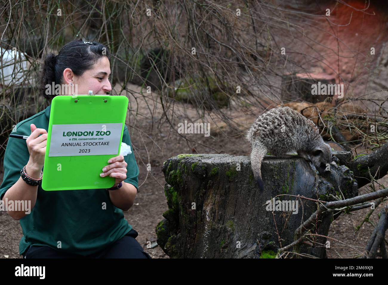 London Zookeepers got our their clipboards again for the New Year count ...