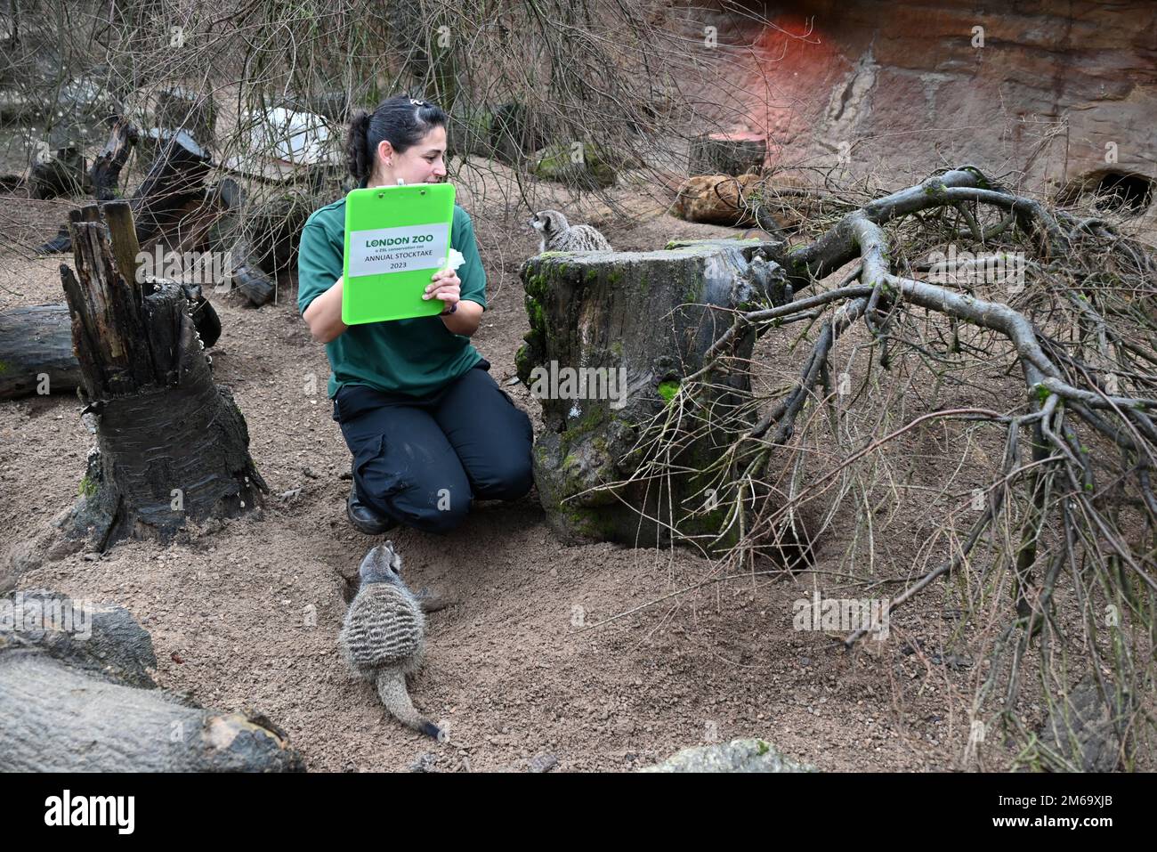 London Zookeepers got our their clipboards again for the New Year count ...