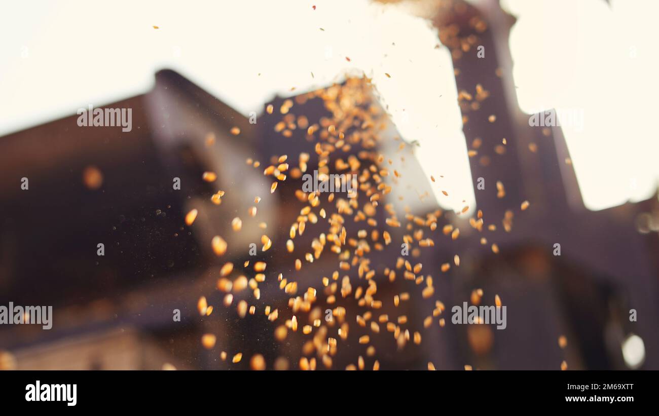 Seeds falling machine hi-res stock photography and images - Alamy