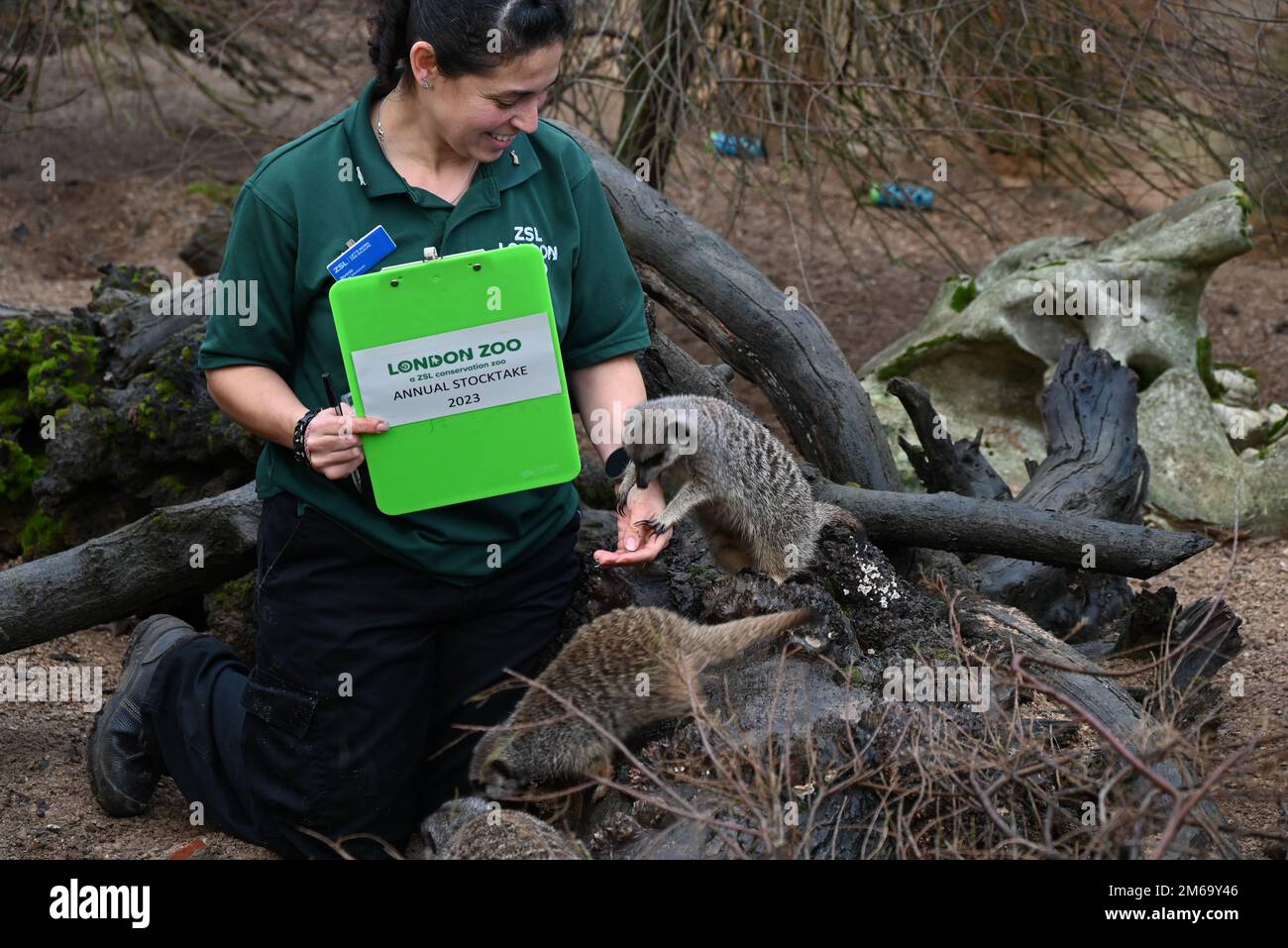 London Zookeepers got our their clipboards again for the New Year count ...