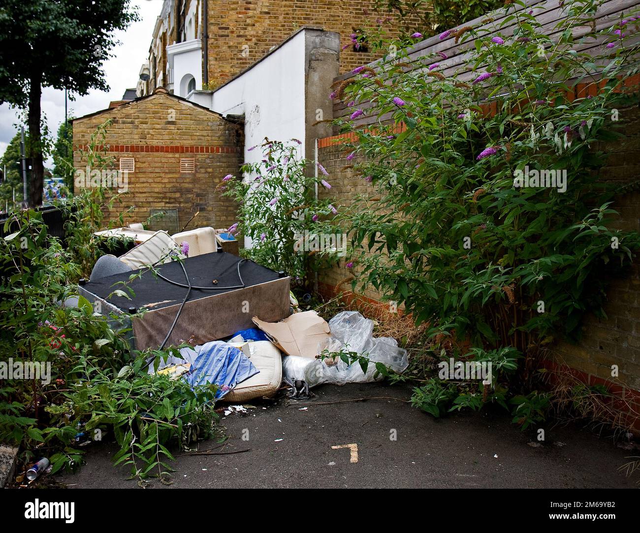 Rats london hi-res stock photography and images - Alamy