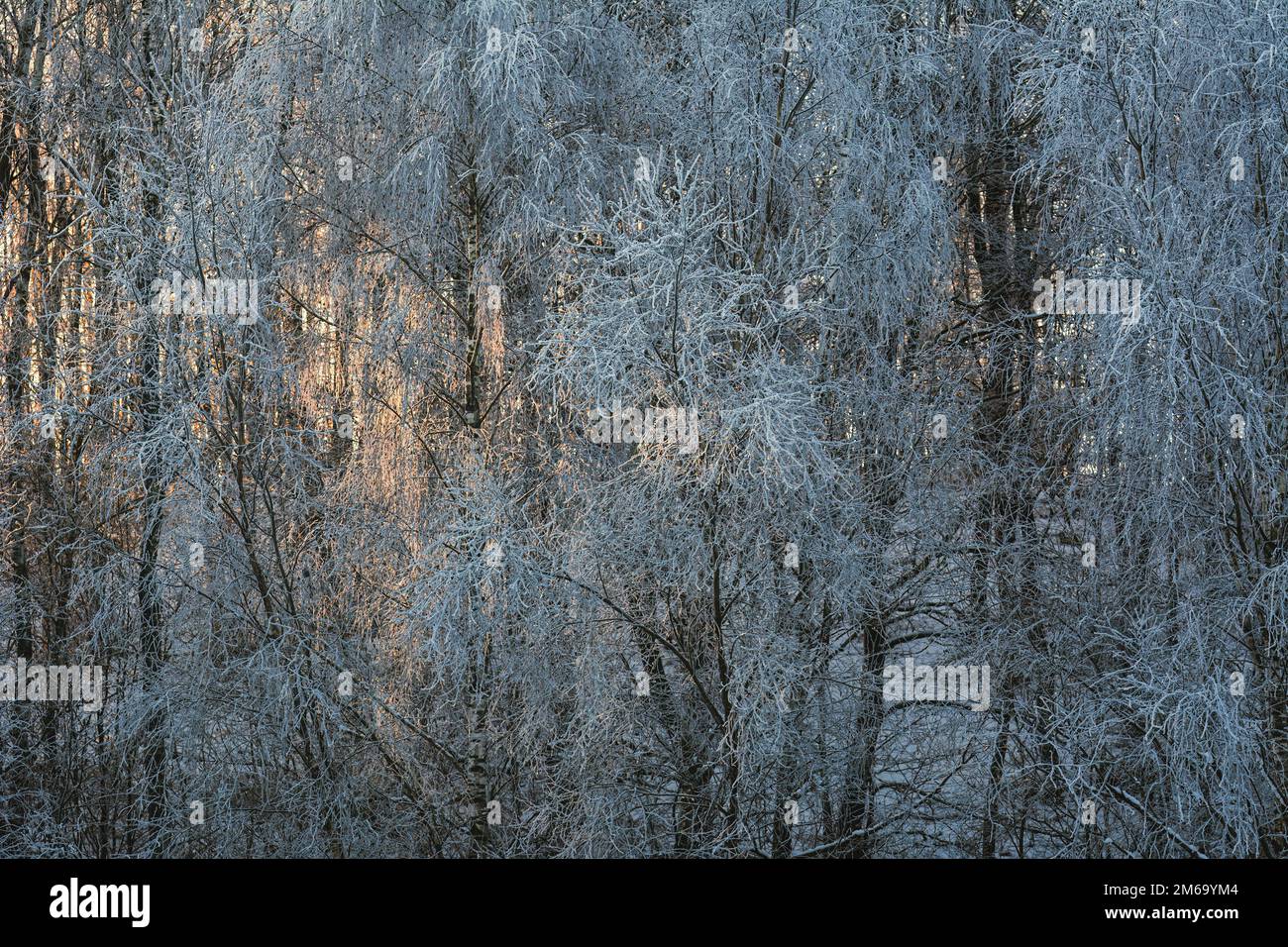 Snow light and dark shadows hi-res stock photography and images - Alamy