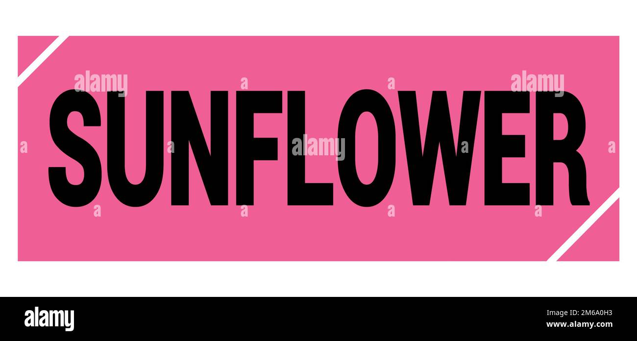 SUNFLOWER text written on pink-black grungy stamp sign Stock Photo - Alamy