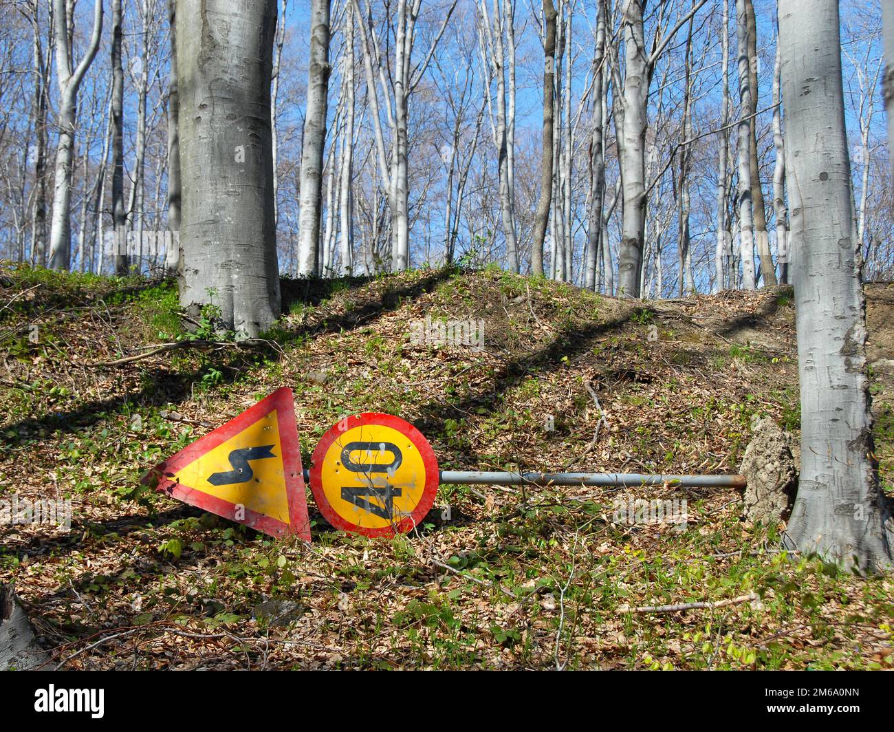 Old signs in forest hi-res stock photography and images - Alamy