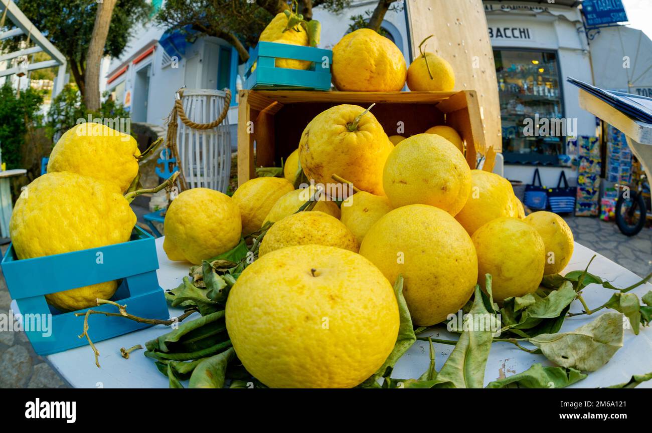 Positano Italy the place where there are the most beautiful lemons ...