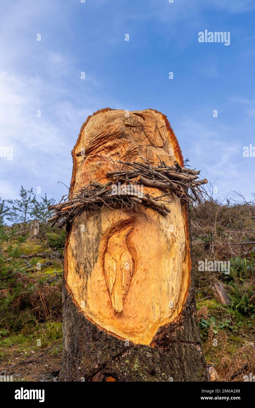 Nesting Raven sculptures on the Elan Valley Sculpture Trail, Powys ...