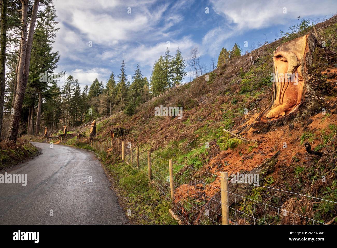 Wildlife tree stump carvings on the roadside in the Elan Valley, Powys ...