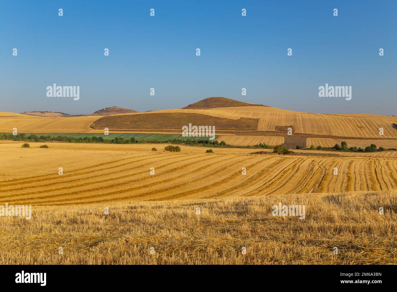 view of a crop field in the north of Spain Stock Photo - Alamy