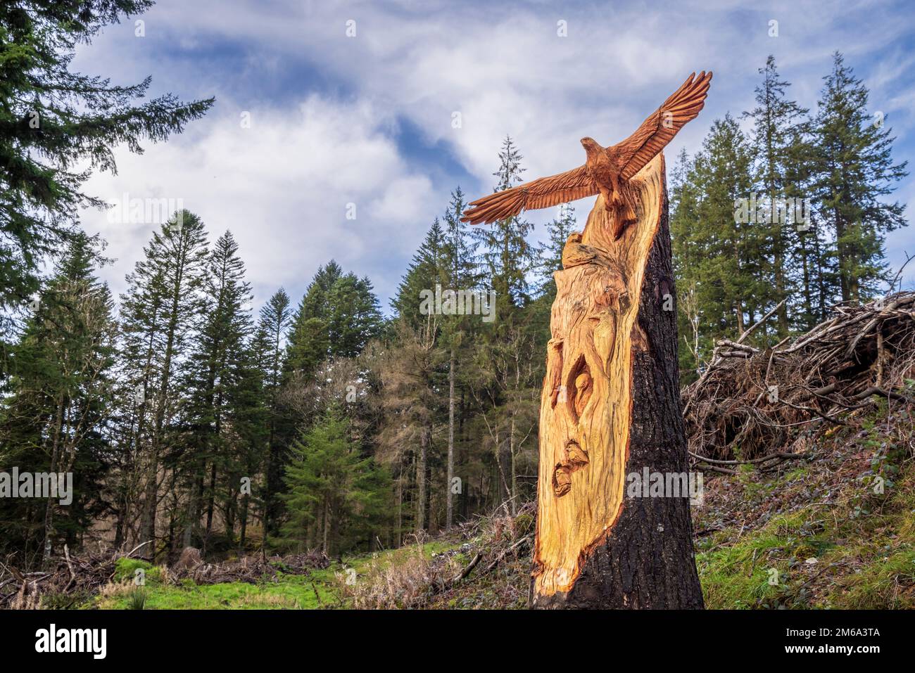 A Red Kite sculpture on the Elan Valley Sculpture Trail, Powys, Wales ...