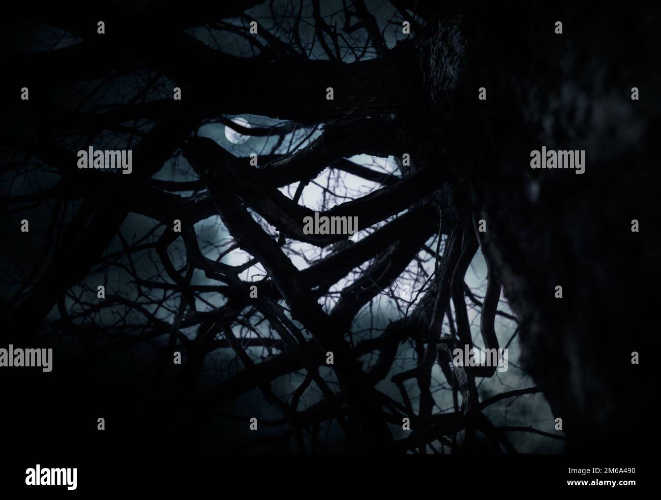 Scary dark scenery with old oak tree, full moon and clouds Stock Photo ...