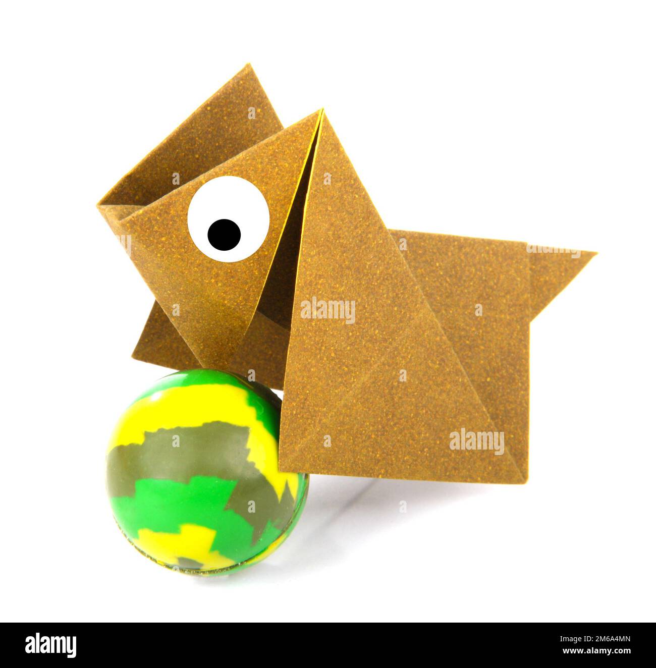 At home pets Cut Out Stock Images & Pictures - Alamy