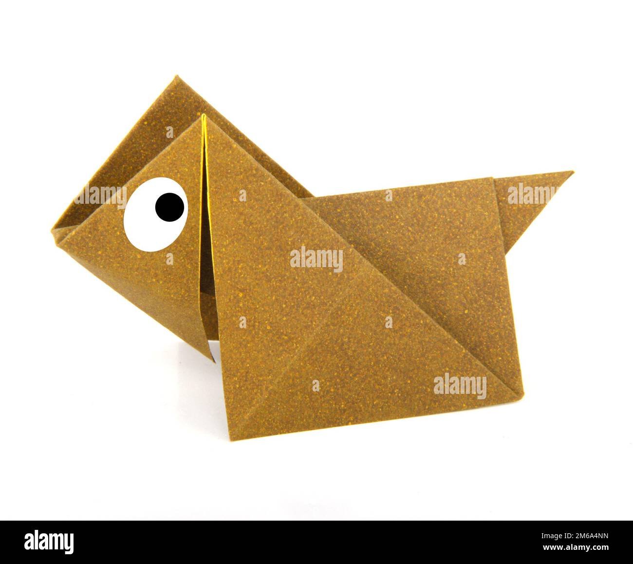 At home pets Cut Out Stock Images & Pictures - Alamy