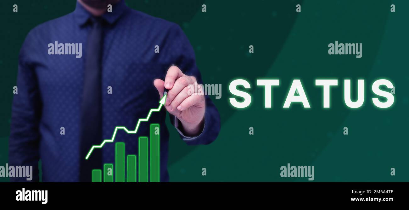 Writing displaying text Status. Business idea situation at a particular ...