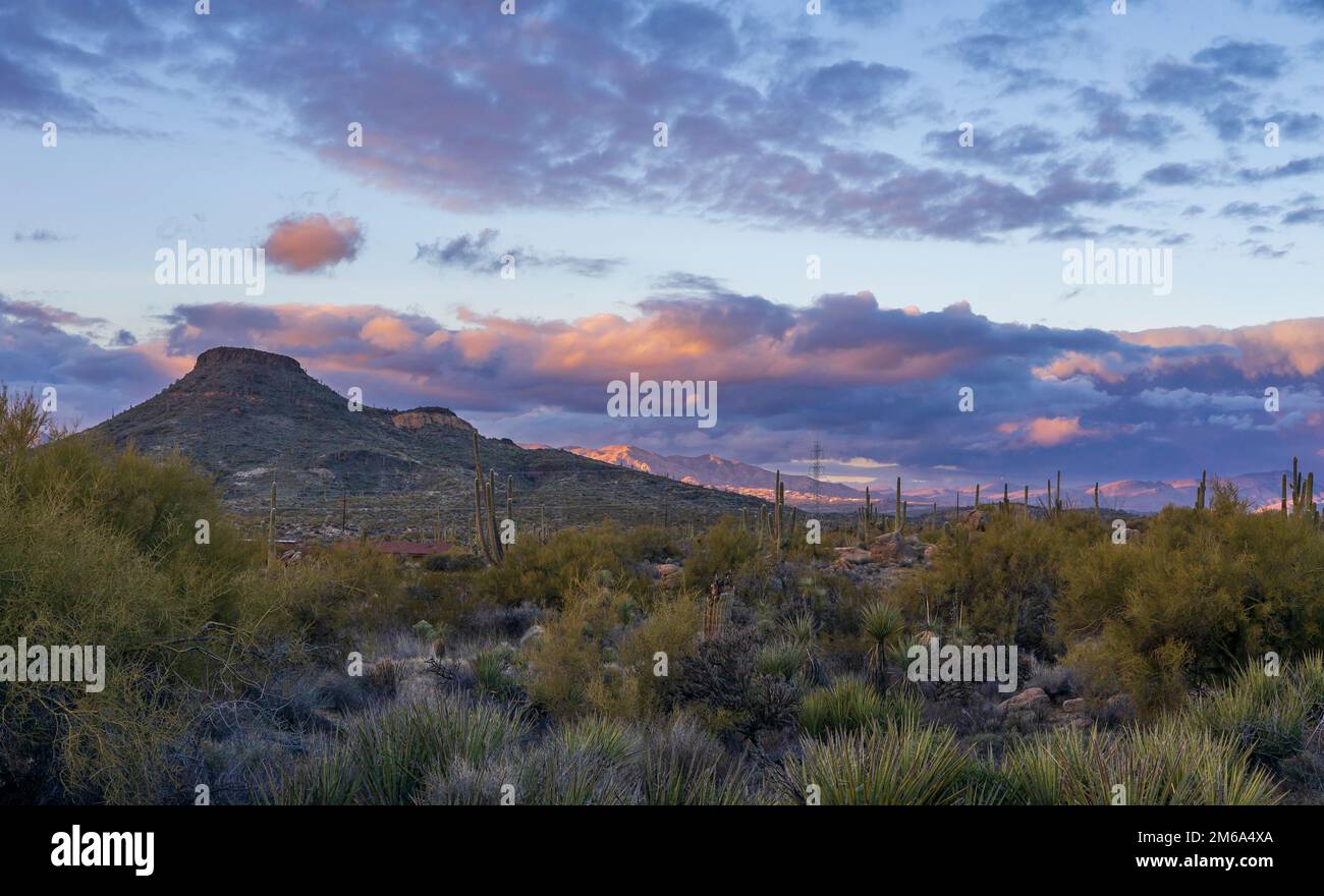 Range of browns hi-res stock photography and images - Alamy
