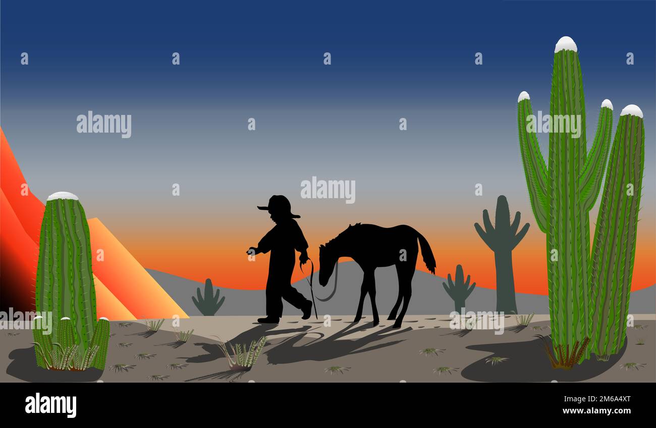 Cowboy cactus desert shadow hi-res stock photography and images - Alamy