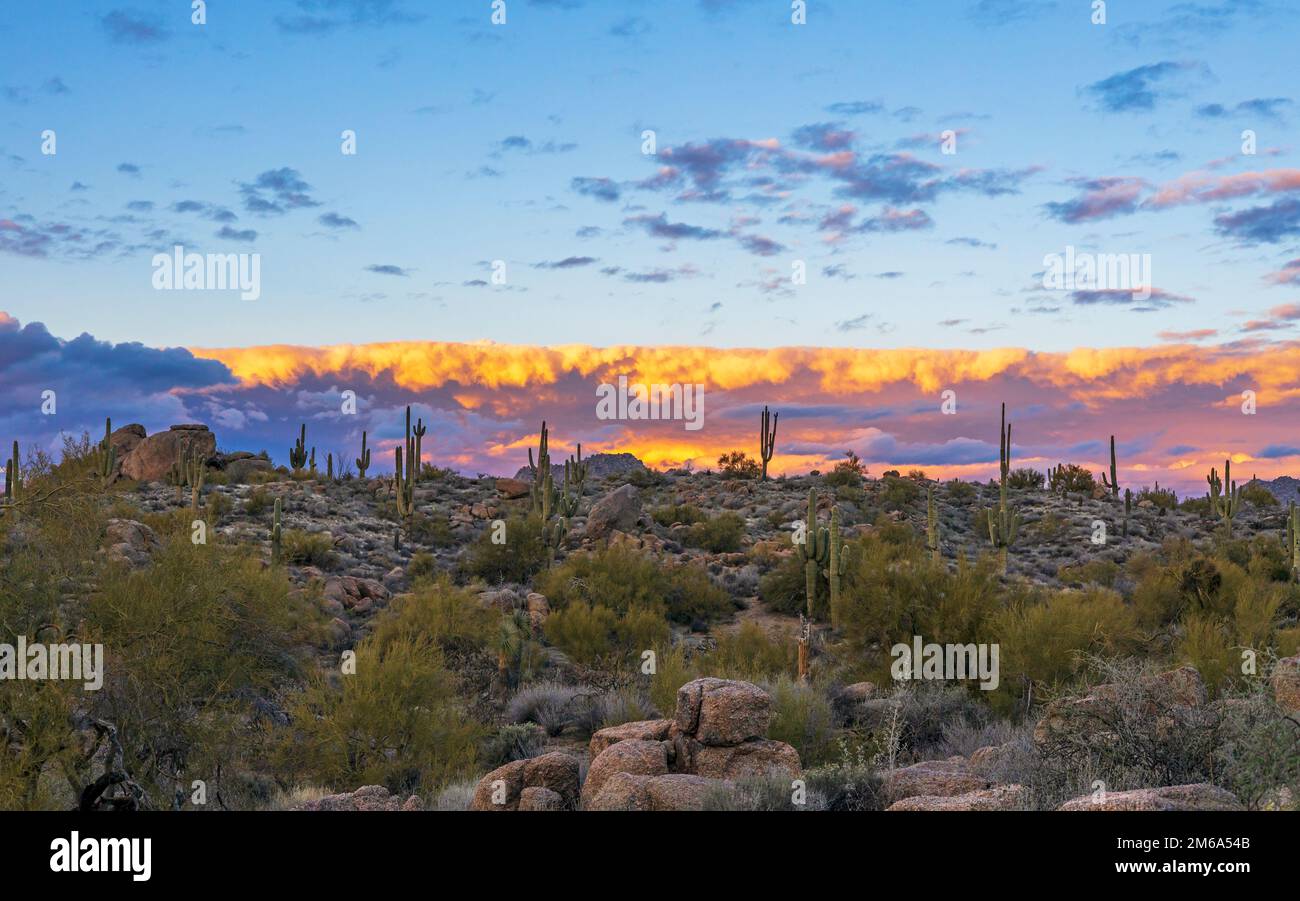 Wide Ratio Arizona Desert Landscape At Sunset Stock Photo - Alamy