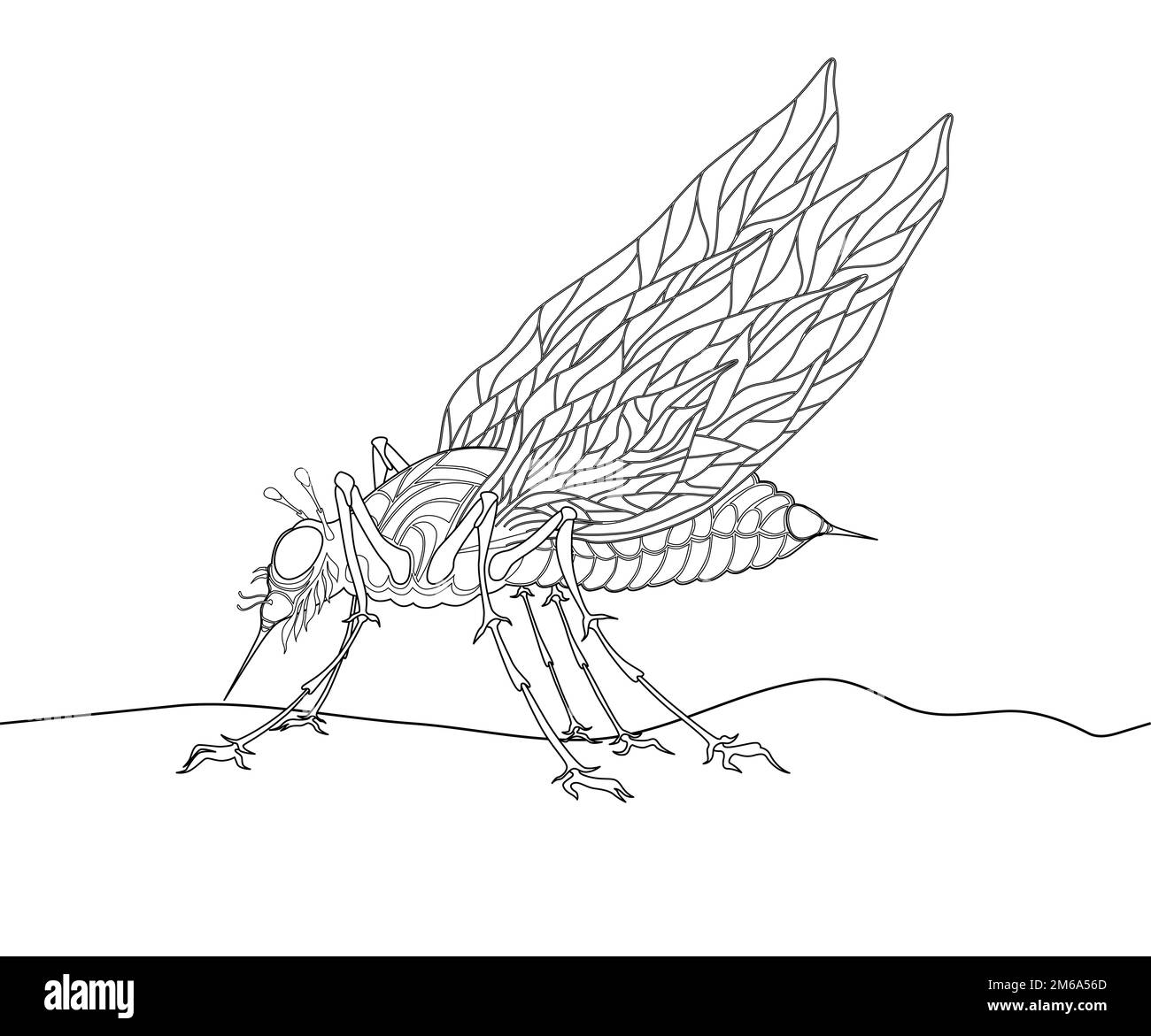 Mosquito drawing hi-res stock photography and images - Alamy