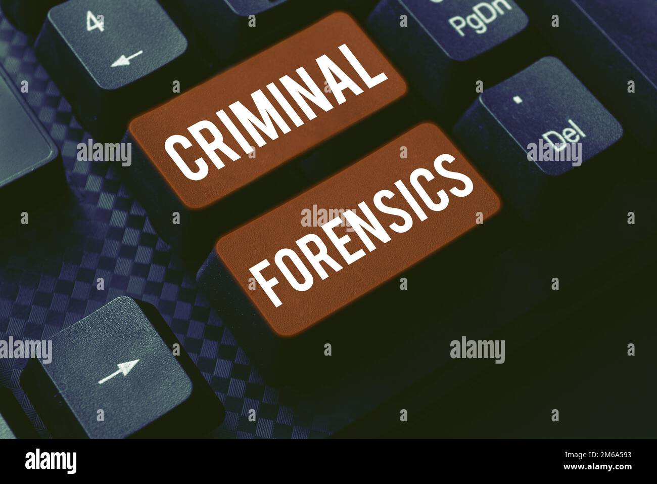 Hand writing sign Criminal Forensics. Word Written on Federal Offense ...