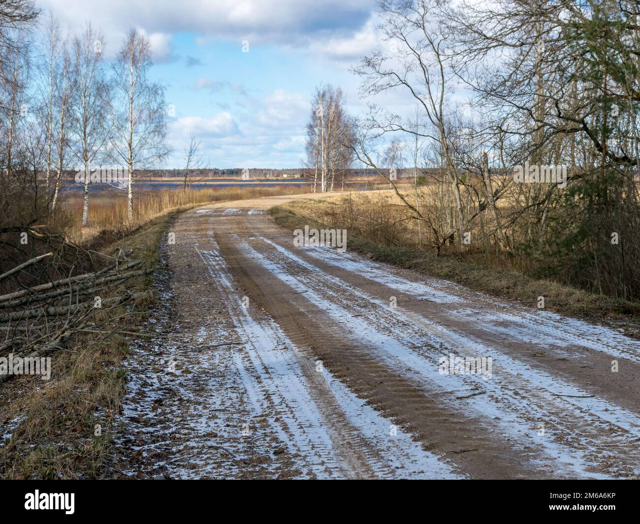 simple landscape with snowy country road, trees on the roadside Stock ...