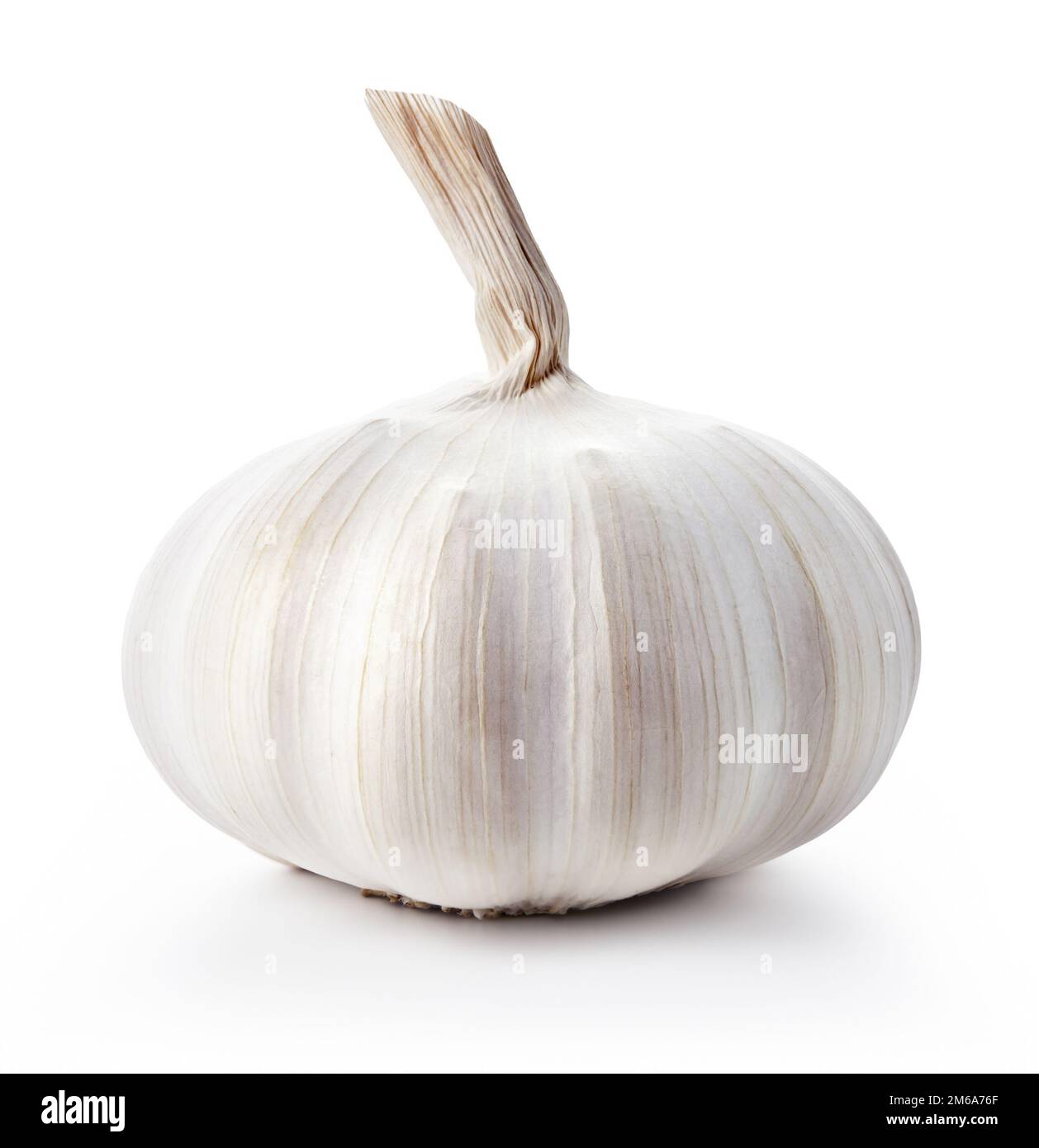 One clove of garlic hi-res stock photography and images - Alamy