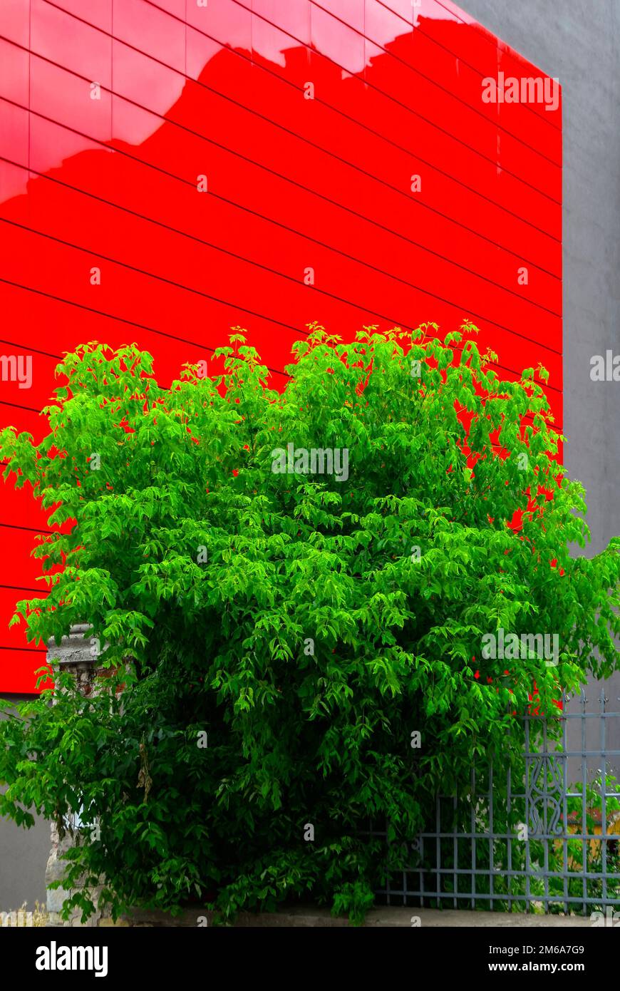 Sofia graphic hi-res stock photography and images - Alamy