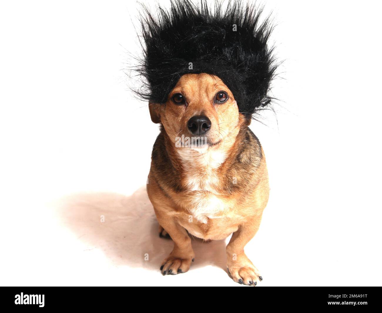 Little old Cut Out Stock Images & Pictures - Alamy