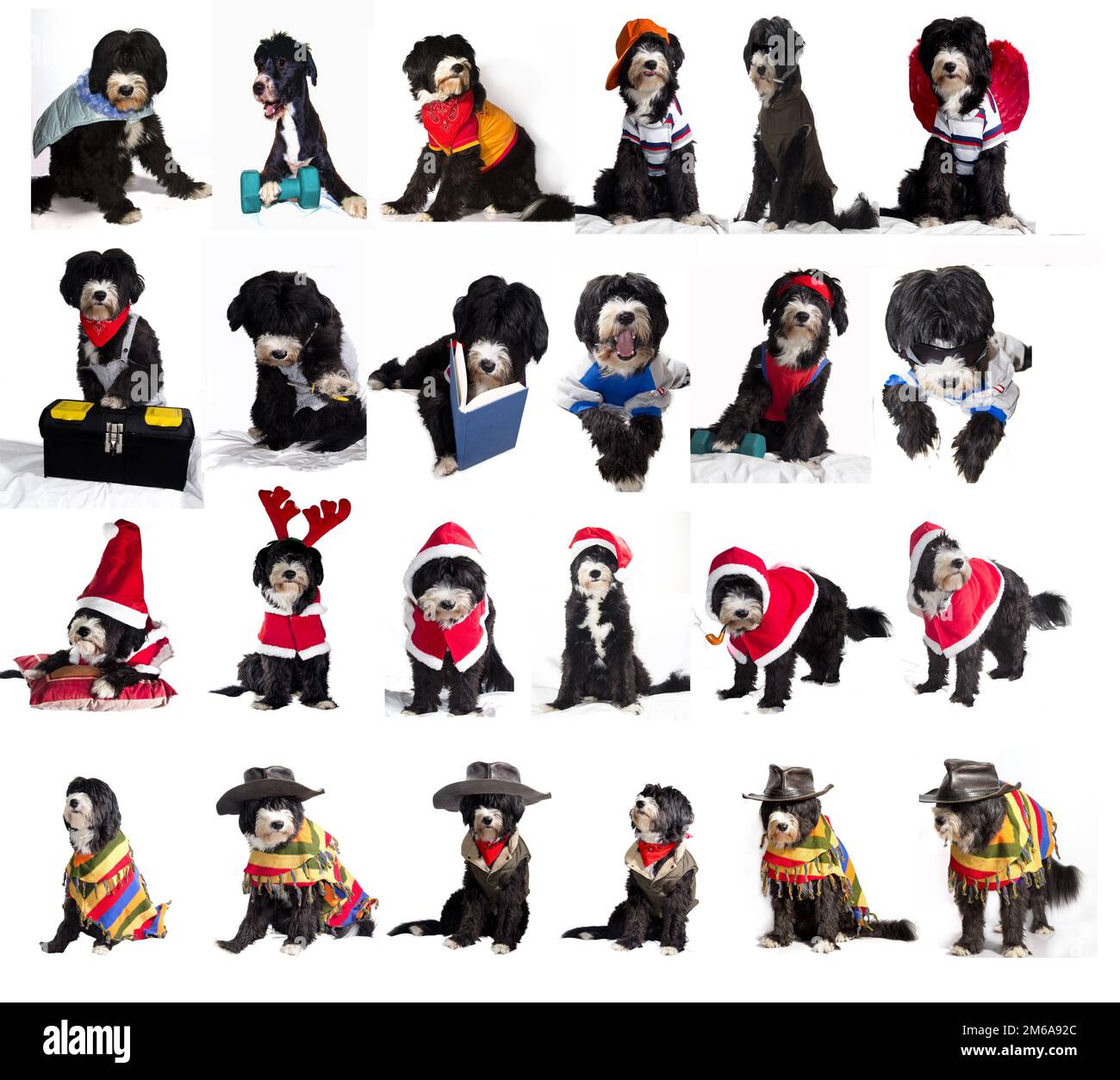 Rear looking collection hi-res stock photography and images - Alamy