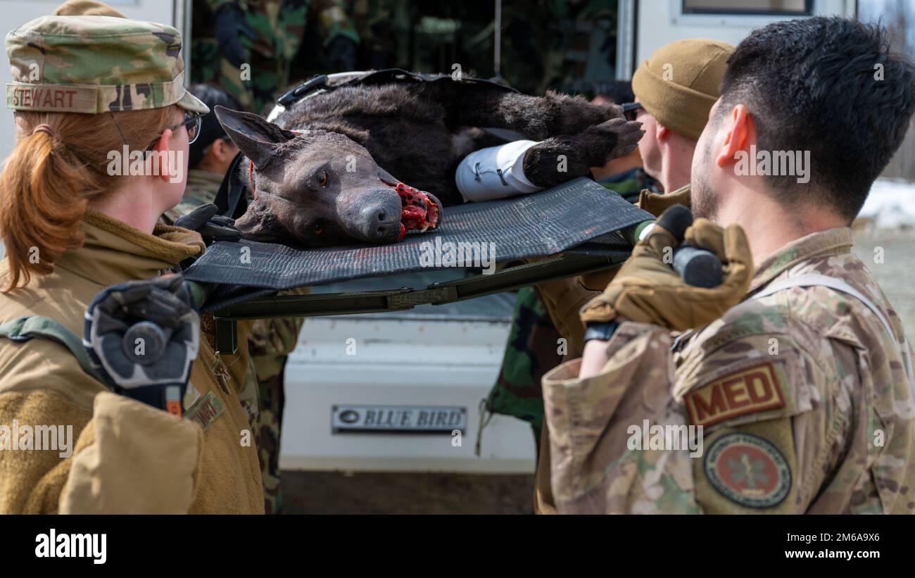 U.S. Airmen participating in the 673d Medical Group’s 2022 ...