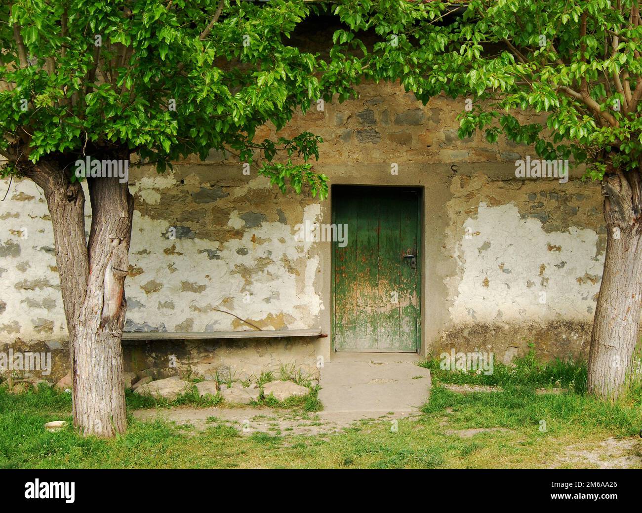 Old country house wooden back door, trees Stock Photo - Alamy