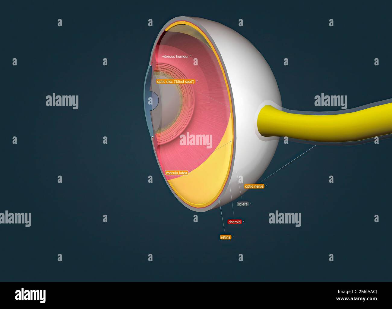 Iodopsine hi-res stock photography and images - Alamy