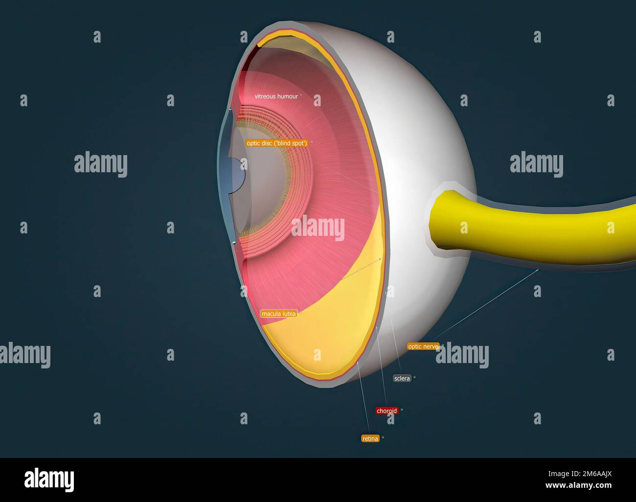Lenses light concave convex hi-res stock photography and images - Alamy