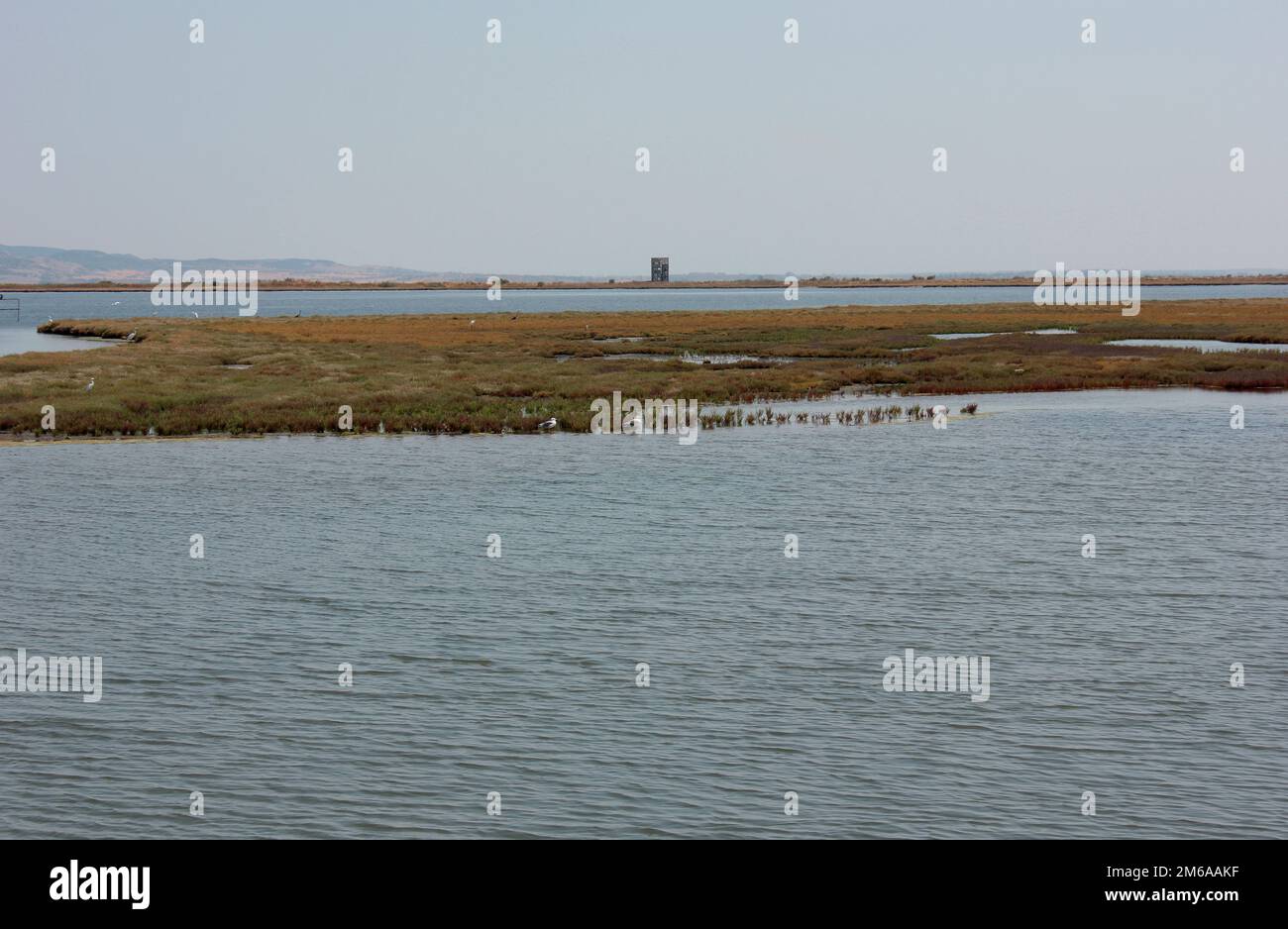 Delta Evros National Park, Evros Thraki Greece Stock Photo - Alamy
