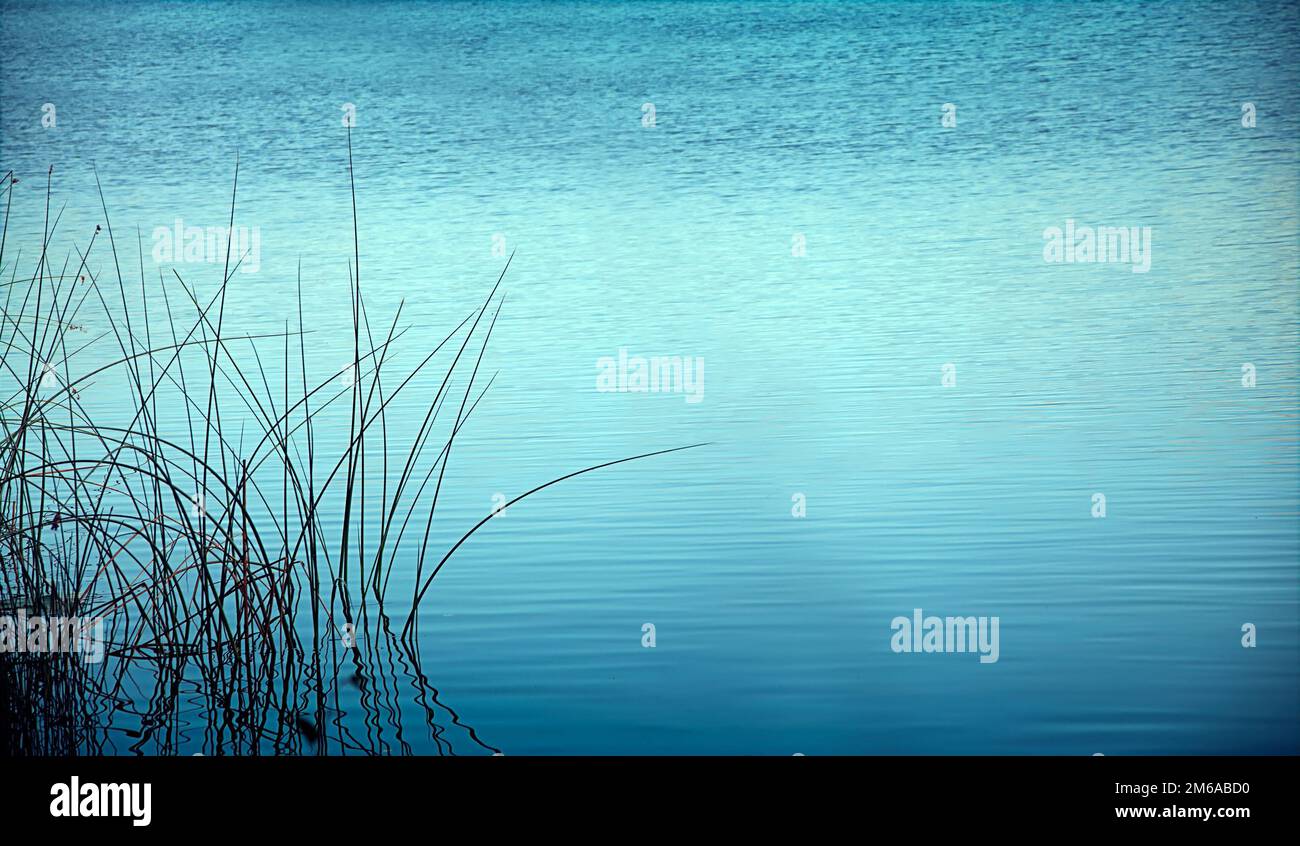 Shadow reflected hi-res stock photography and images - Alamy