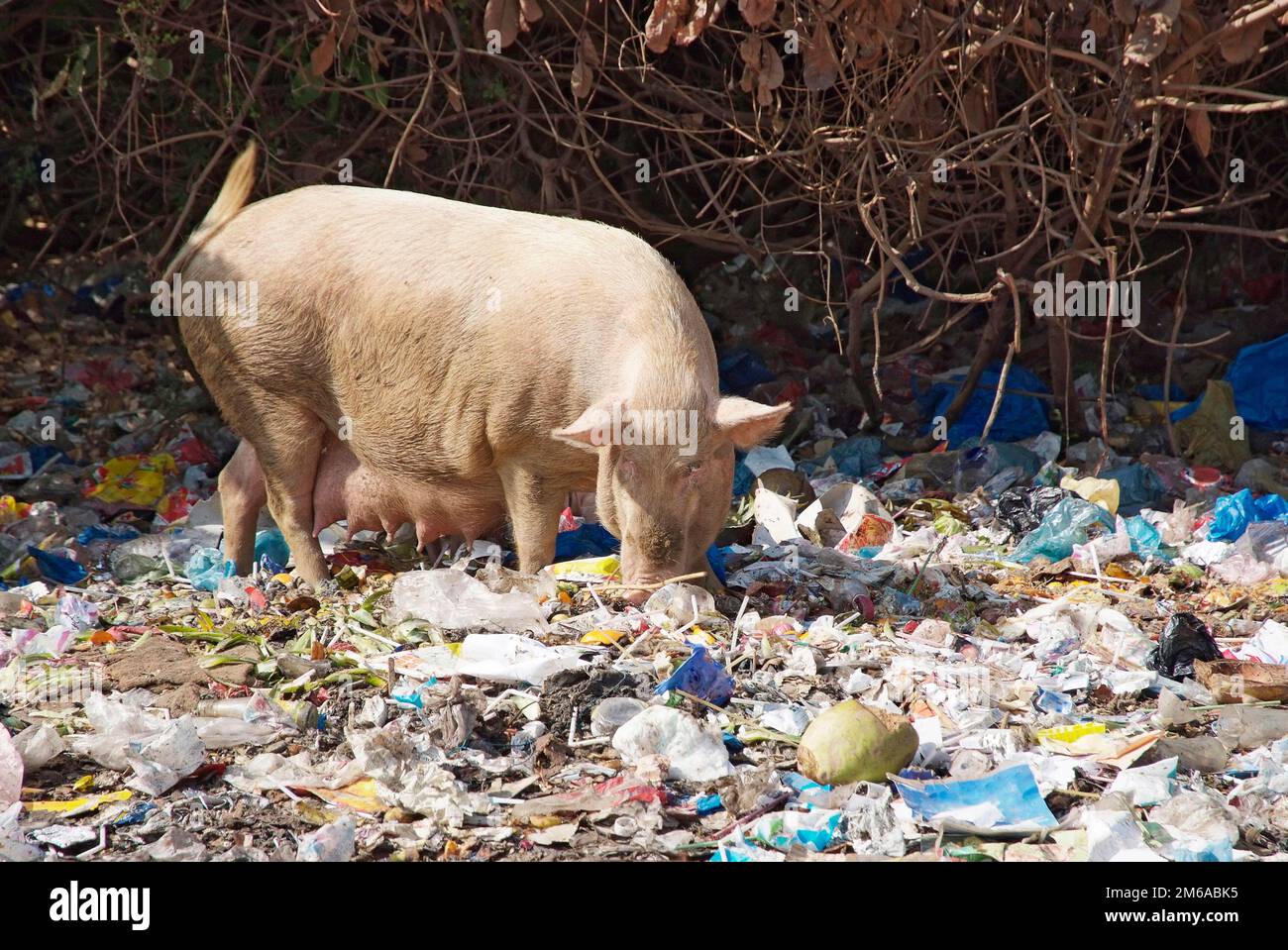 Domestic scrapheap hi-res stock photography and images - Alamy