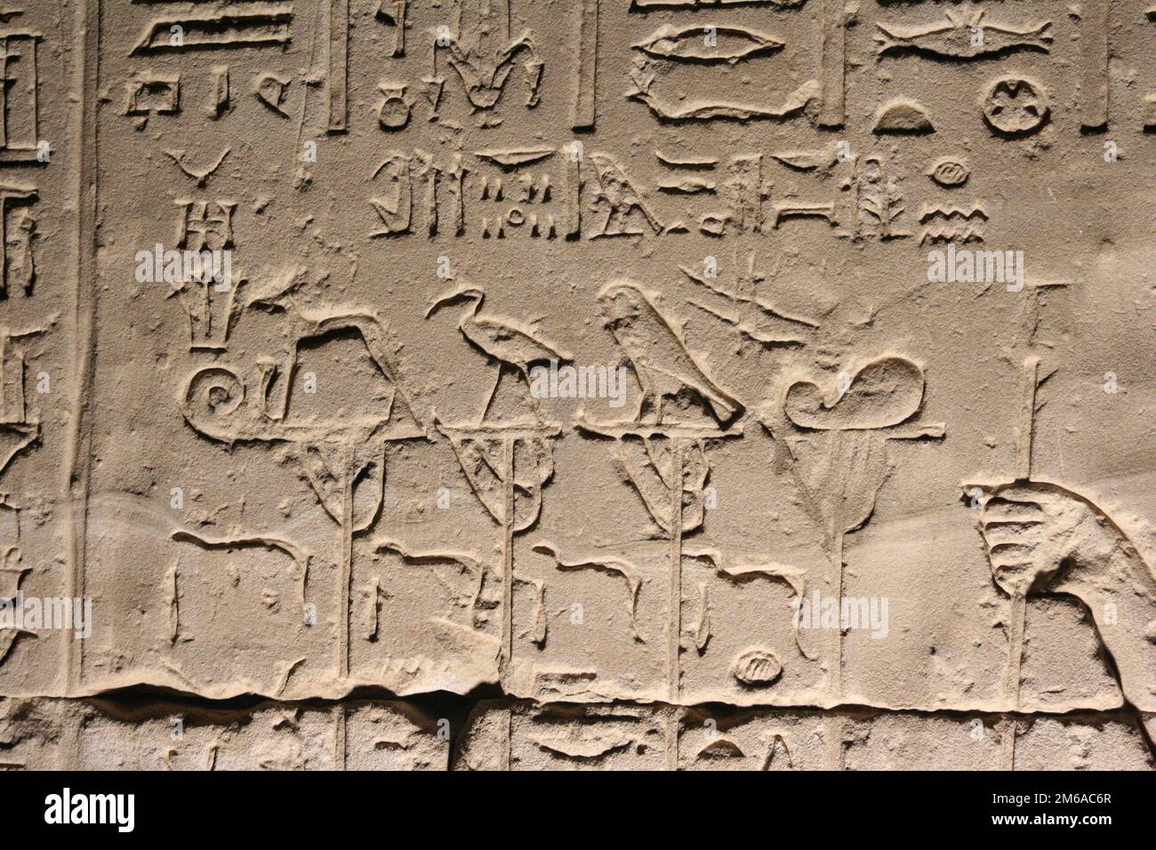 Horus Temple 013 Stock Photo - Alamy