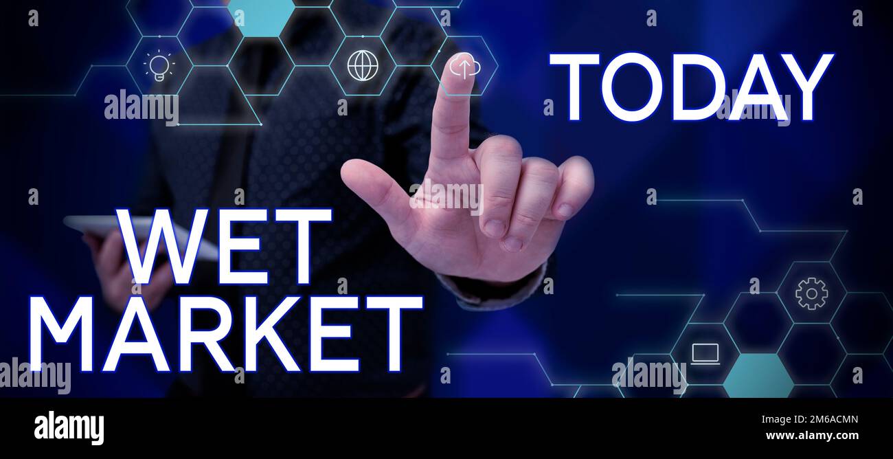 Writing displaying text Wet Market. Word Written on market selling ...