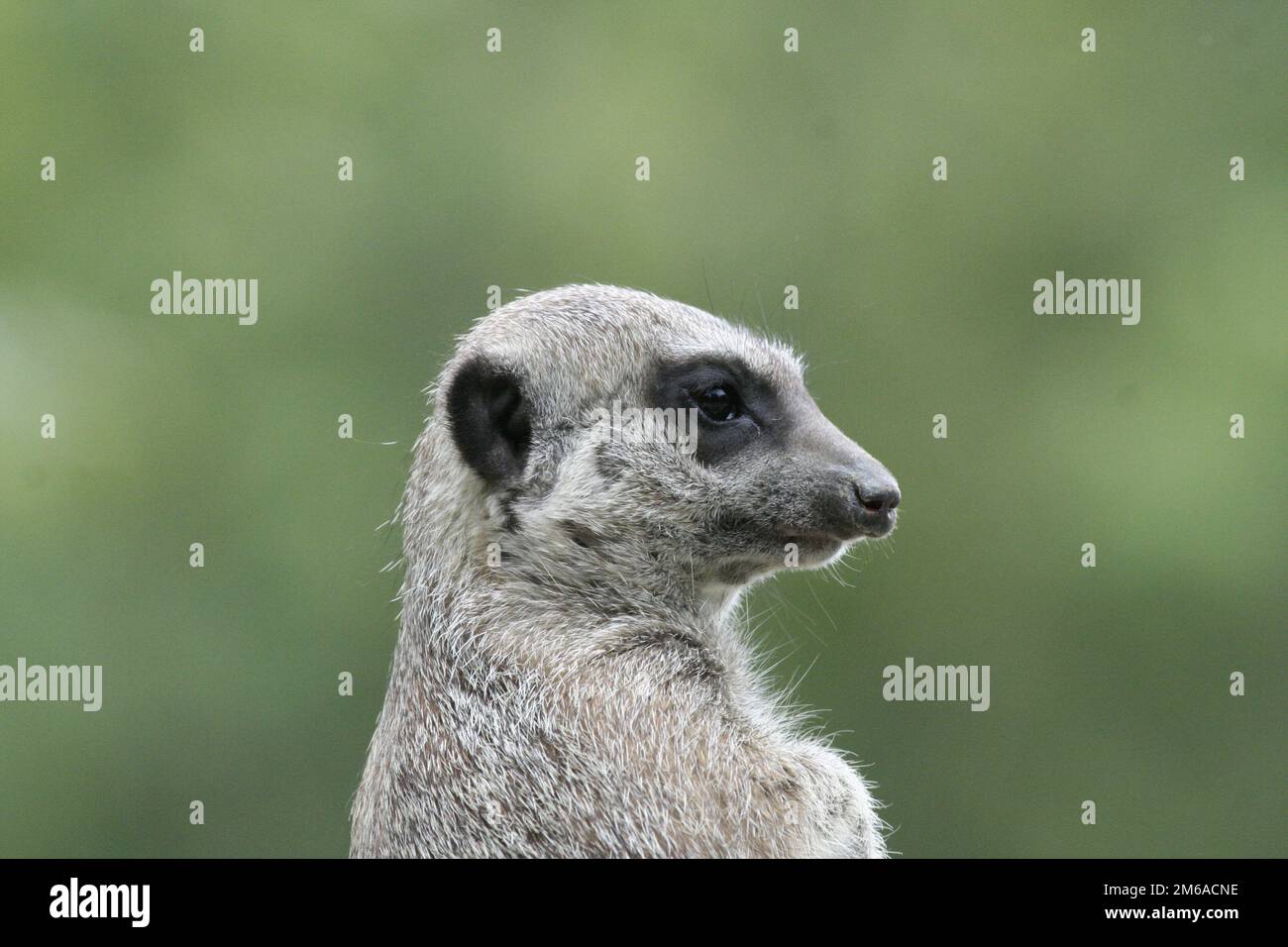 058 hi-res stock photography and images - Alamy