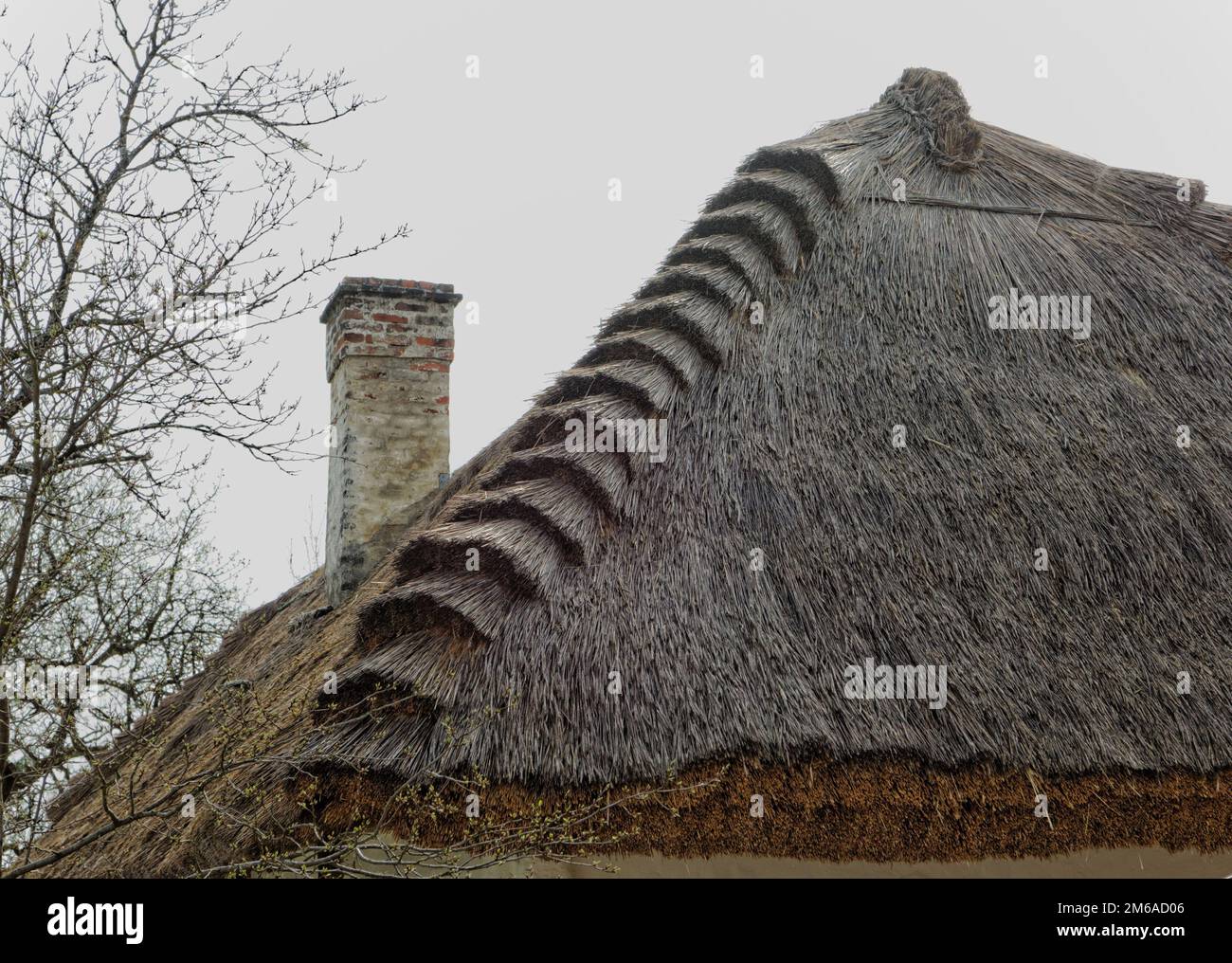 Reed roof hi-res stock photography and images - Alamy