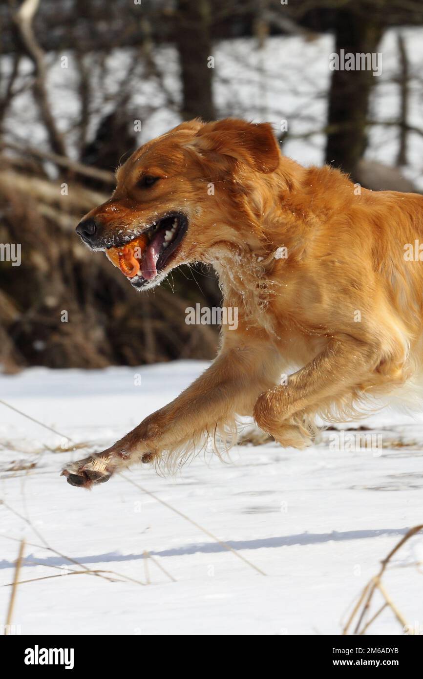 Working and sun hi-res stock photography and images - Alamy