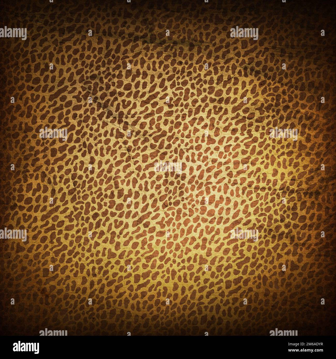 Skin leopard hi-res stock photography and images - Alamy