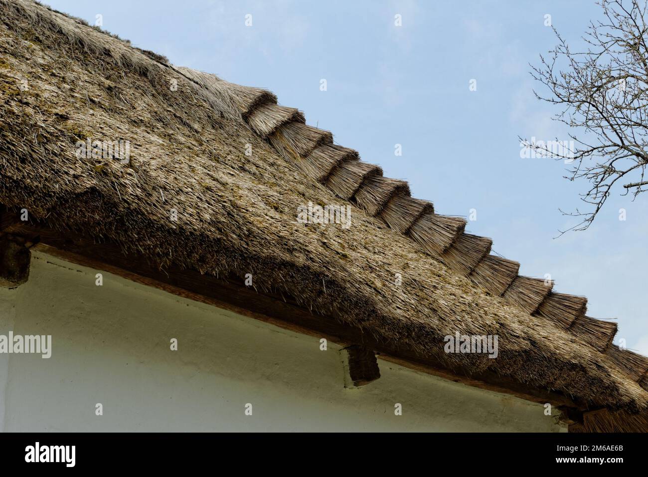 Reed roof hi-res stock photography and images - Alamy