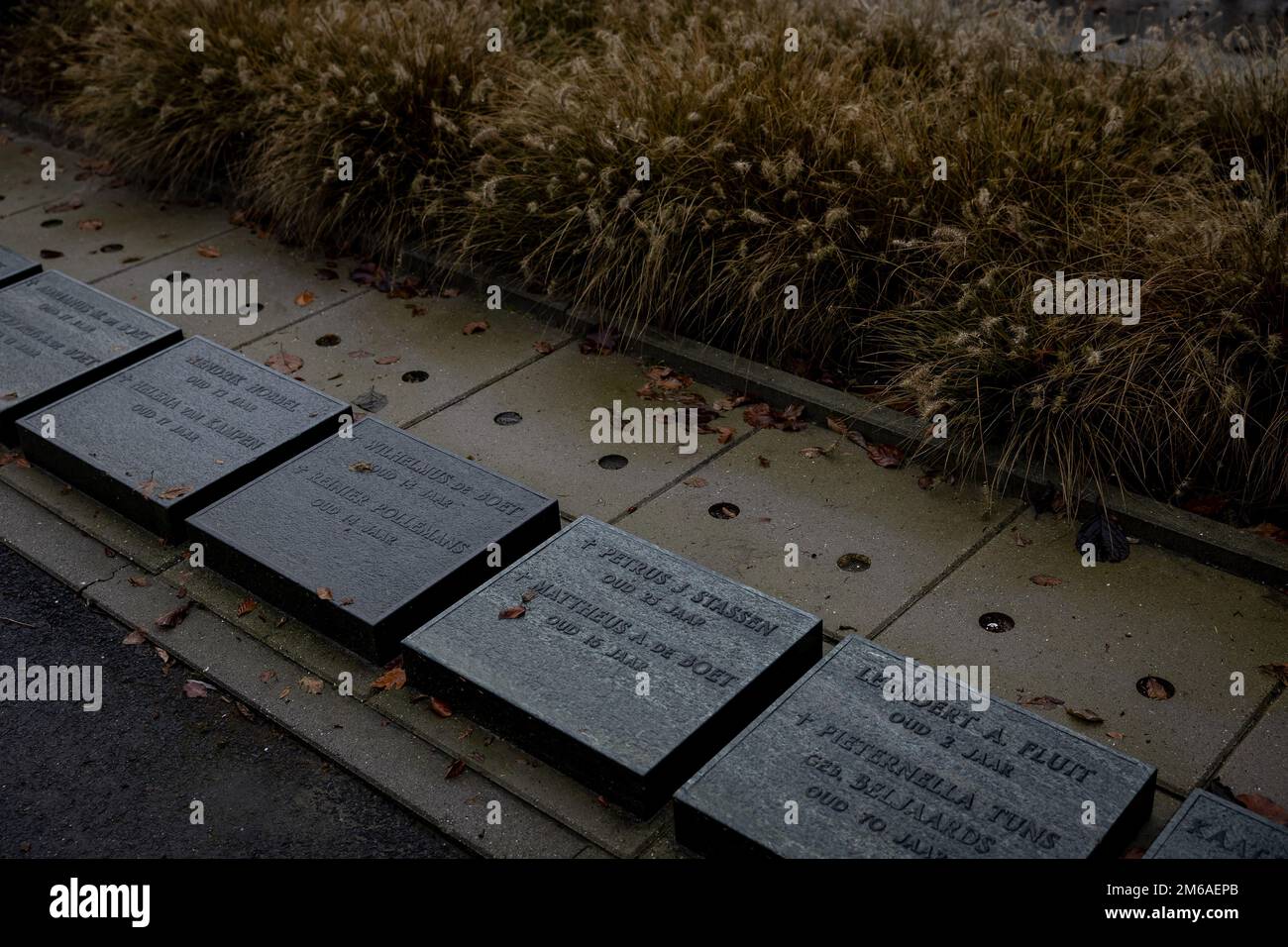 OUDE-TONGE - Cemetery Flood 1953. On 31 January it is 70 years ago that ...