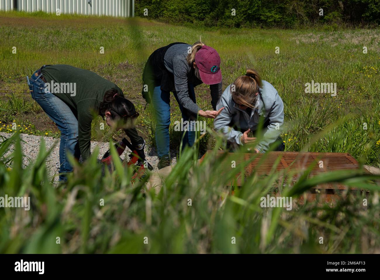 Volunteers with the 633d Civil Engineer Squadron place the first frog ...