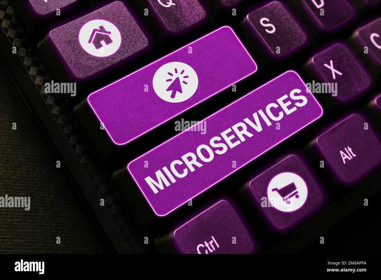 Text showing inspiration Microservices. Business approach Software development technique ...
